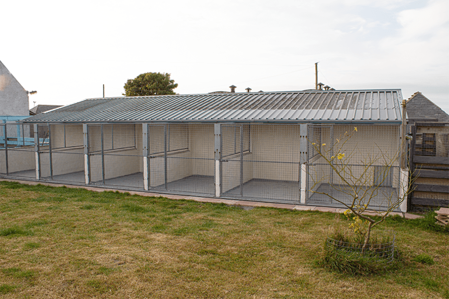 Our Kennels and Suites | Glenugie Kennels